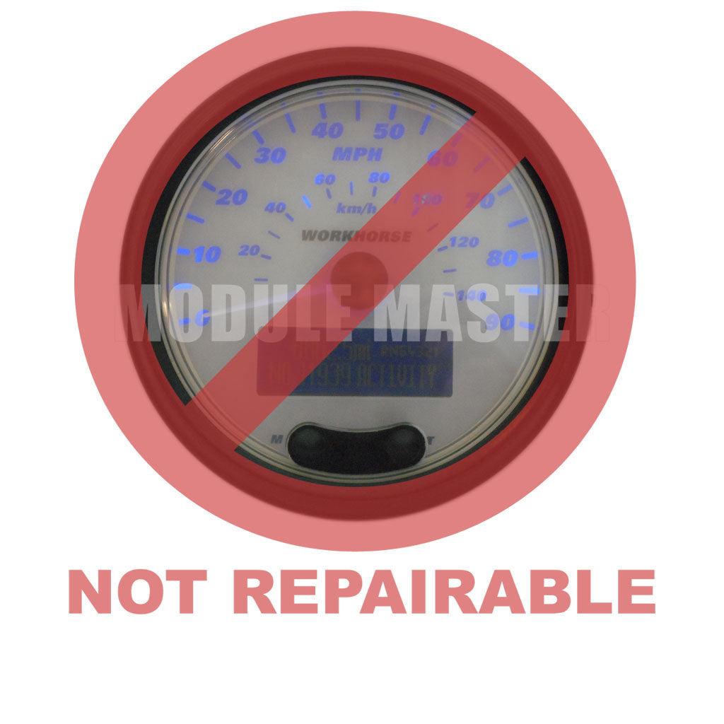 Speedometer and/or Instrument Cluster Workhorse Freightliner – Module ...